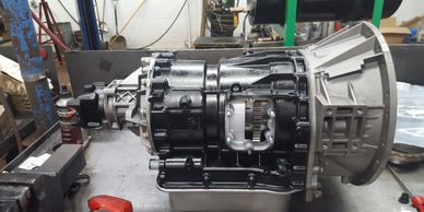 Pro Trac Gear | Pro Trac Gear